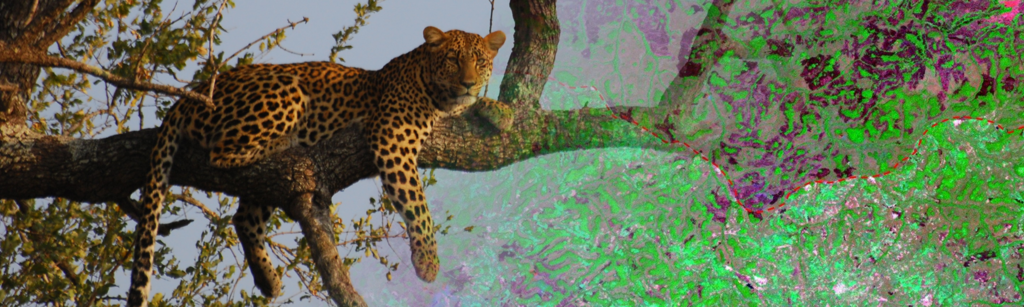 Biodiversity & Conservation - Earth Observation News