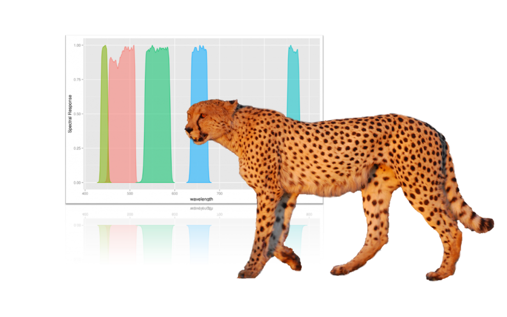 PhD position: Animal Movement for Remote Sensing - Earth Observation News