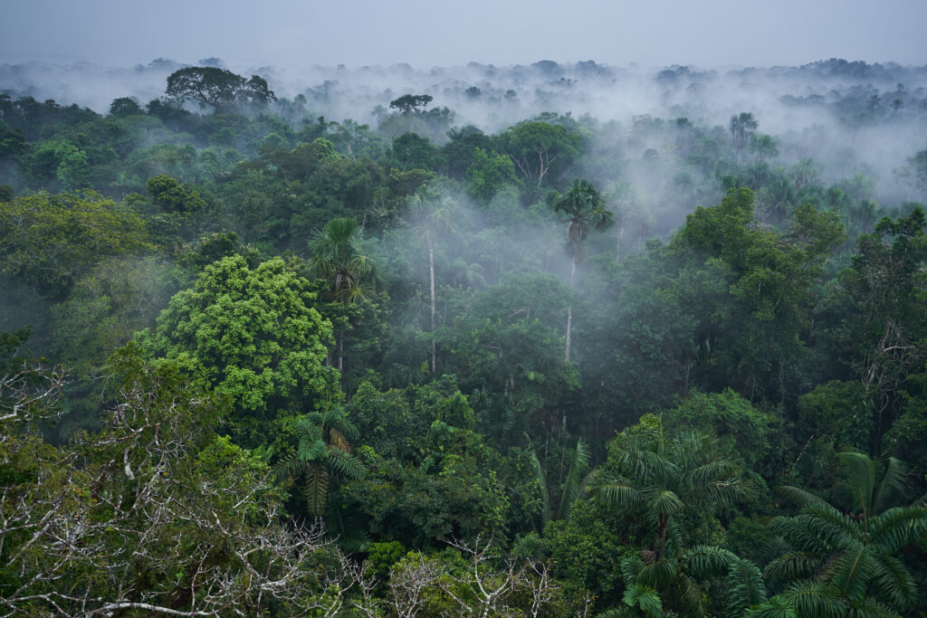 New Publication on analyzing deforestation in continental Ecuador ...