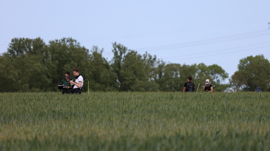 Agricultural field work with our EAGLEs - Earth Observation News