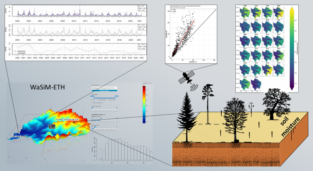 Multidimensional hydrological modeling of a forested catchment in a ...