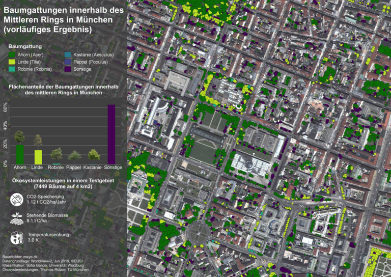 Presenting our project “Ecosystem Services of the Urban Forest ...
