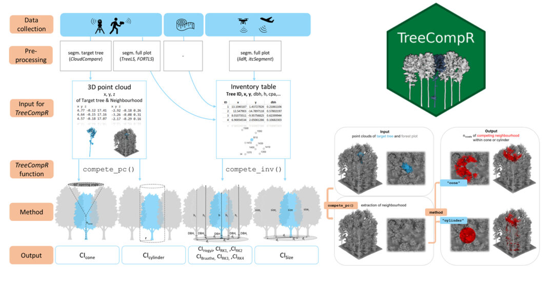 New Publication: TreeCompR: Tree competition indices for inventory data and 3D point clouds ...