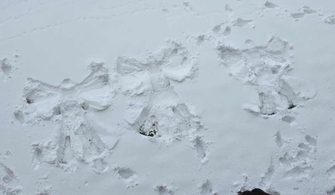 From Satellites to Snow Angels - Earth Observation News