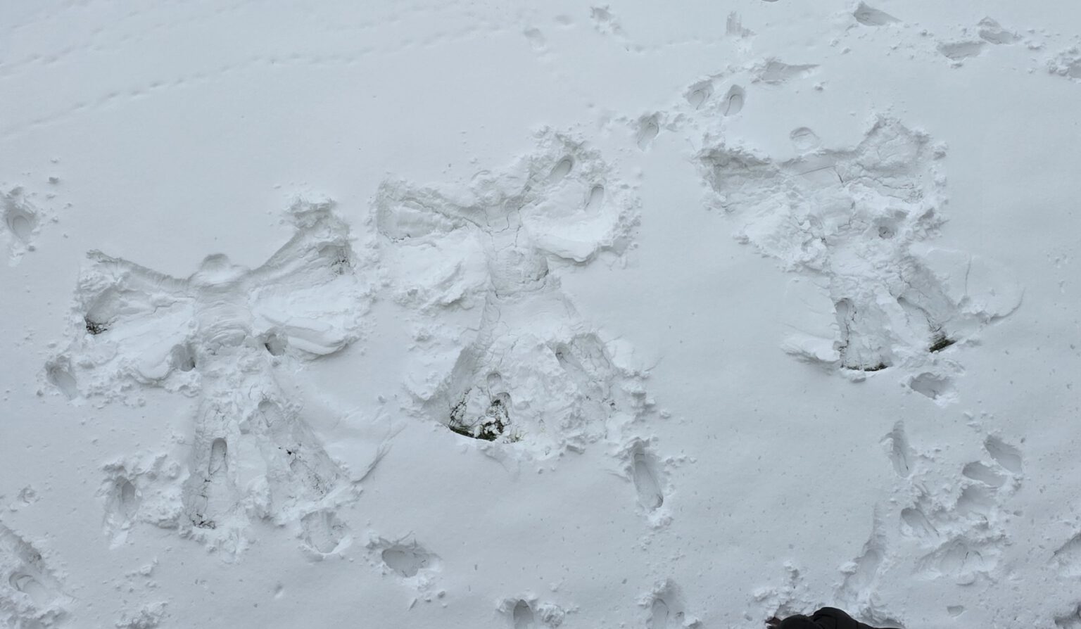 From Satellites to Snow Angels - Earth Observation News